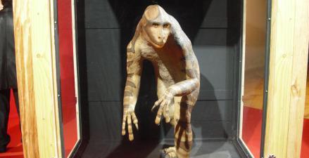 voici le Dinosauroïde